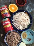 Chicken and Pork Tinga with Chipotle and Orange • Mama Latina Tips