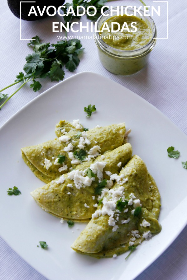 Avocado Chicken Enchiladas • Mama Latina Tips