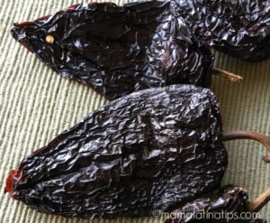 Turkey Stuffed Chile Ancho • Mama Latina Tips