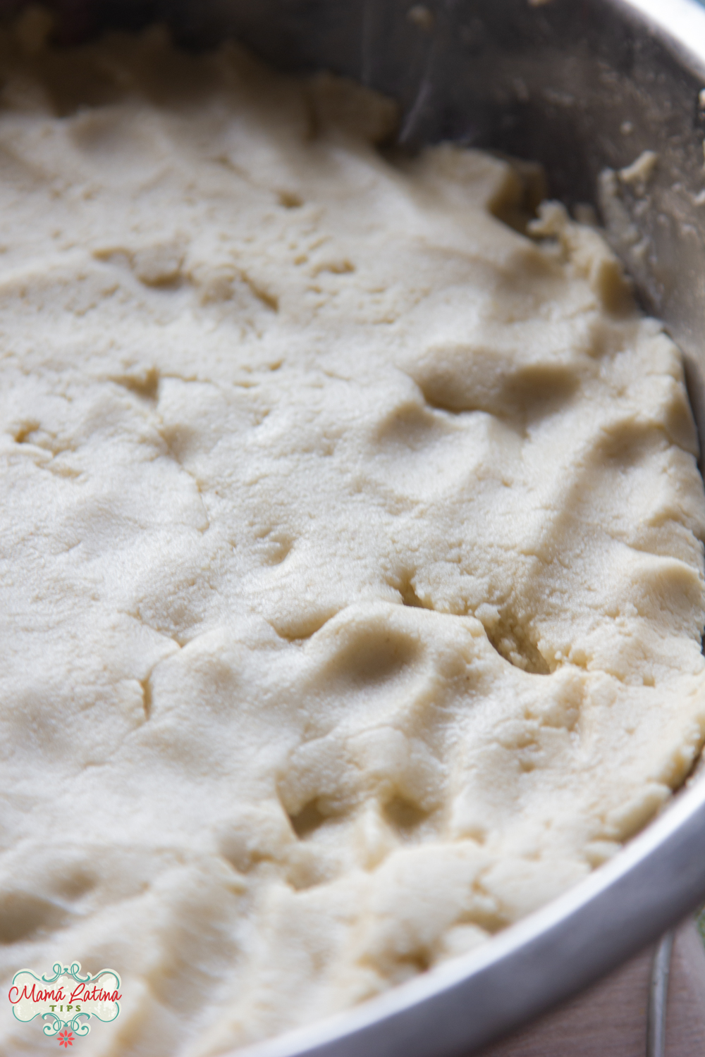 Homemade Masa for Tamales Recipe (A Complete Guide) • Mama Latina Tips