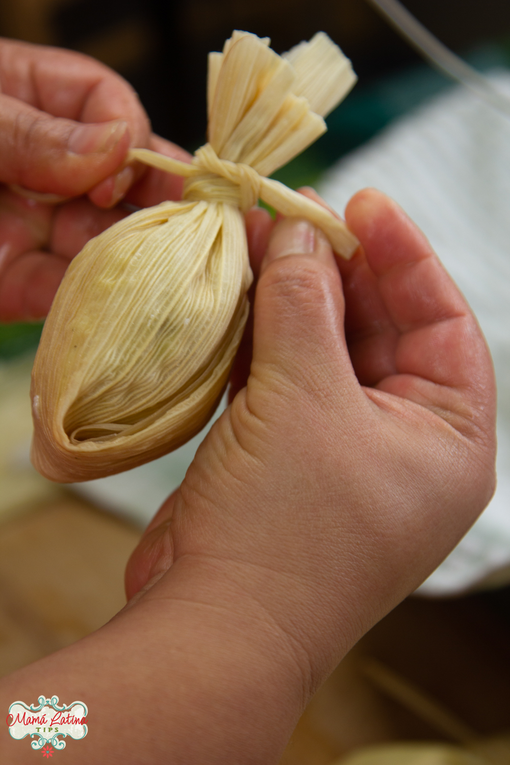 Green Tamales with Chicken • Mama Latina Tips