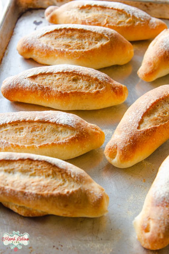 13 Recetas de Pan Mexicano Auténtico para Hacer en Casa • Mama Latina Tips