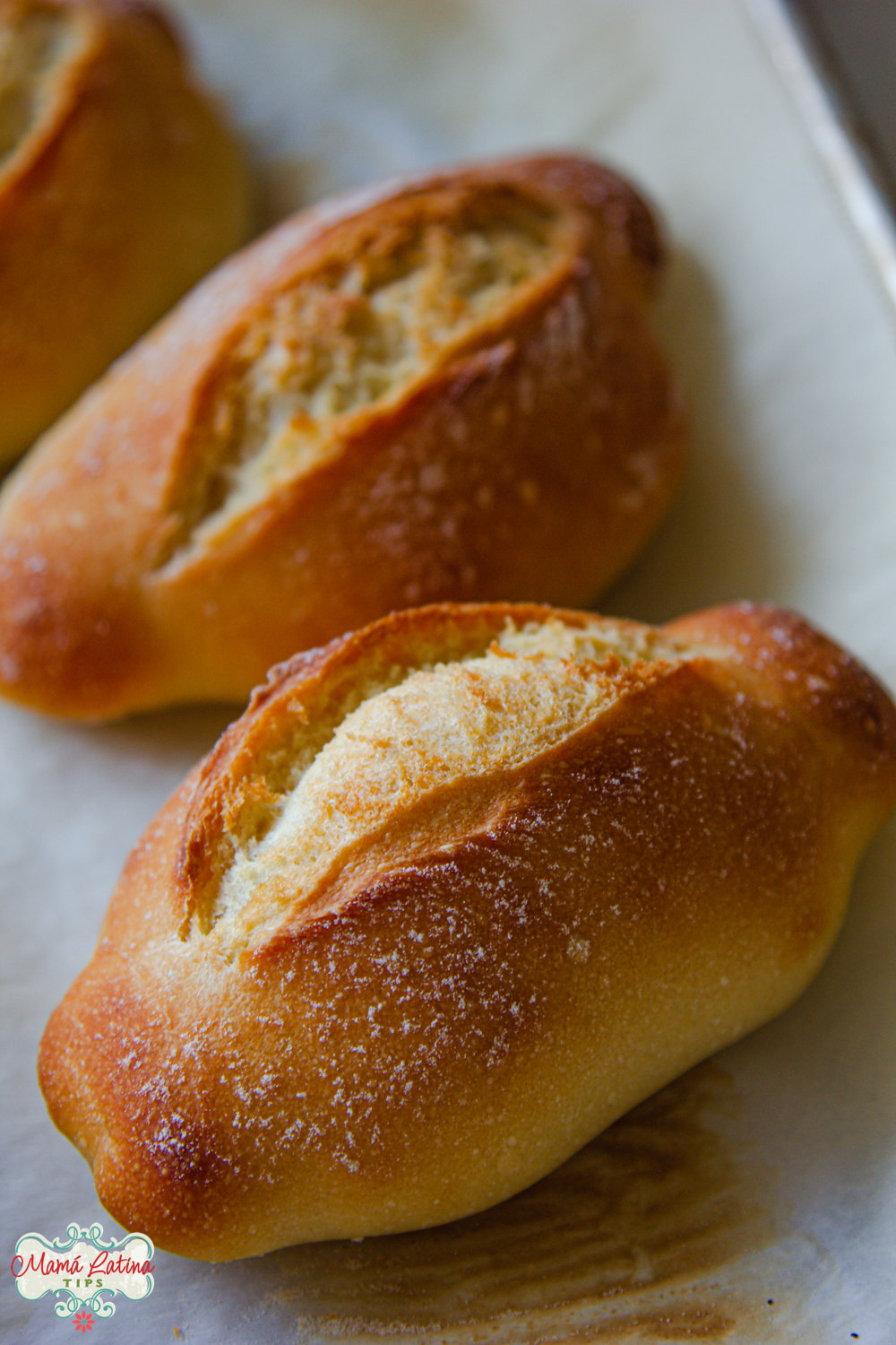 Traditional Mexican Bolillos Easy Recipe • Mama Latina Tips