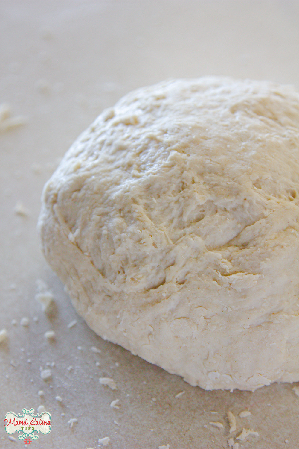 Traditional Mexican Bolillos Easy Recipe • Mama Latina Tips