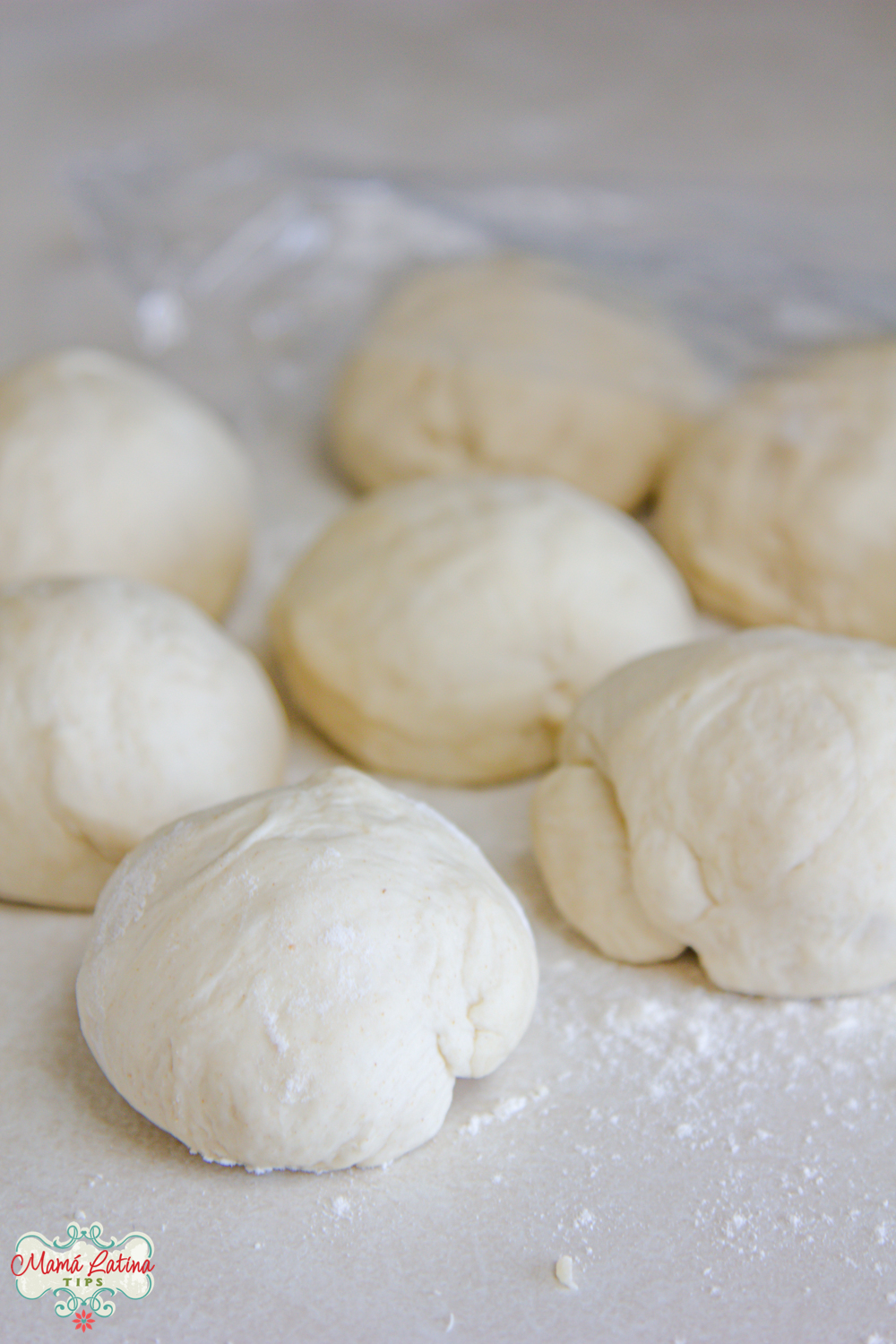 Receta Fácil de Bolillos Caseros • Mama Latina Tips
