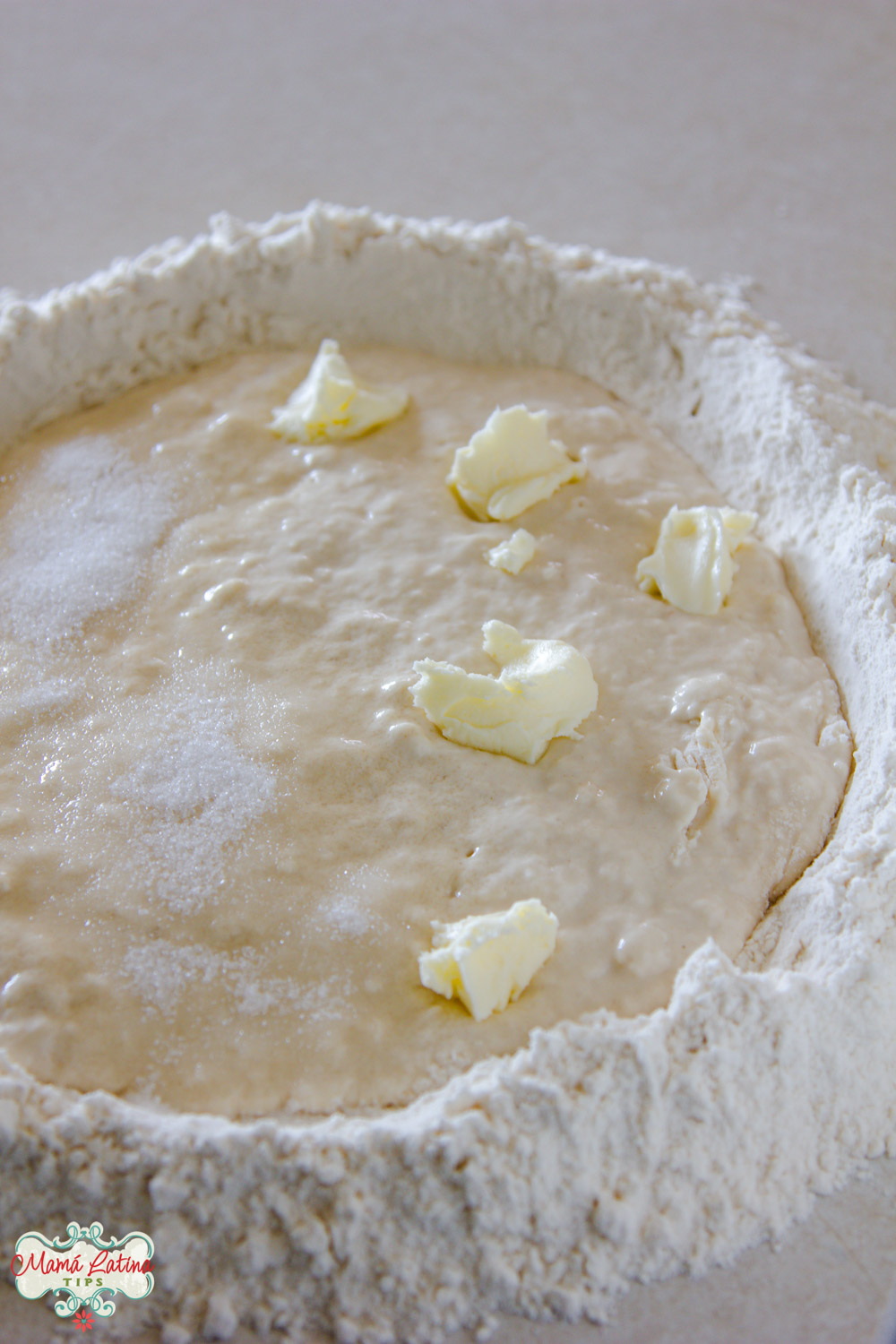 Easy Mexican Telera Bread Recipe • Mama Latina Tips