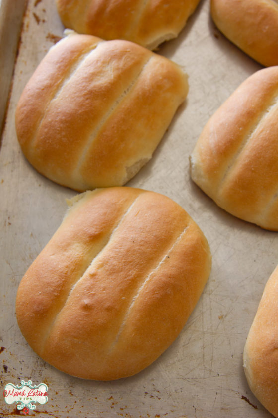 Easy Mexican Telera Bread Recipe • Mama Latina Tips