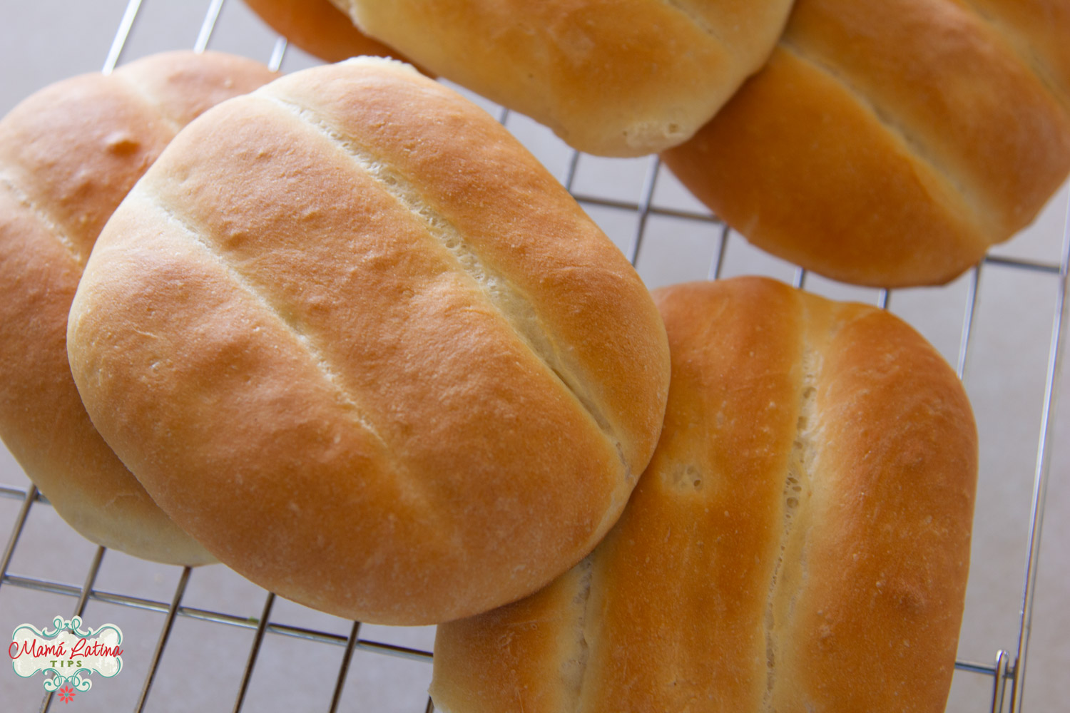 Easy Mexican Telera Bread Recipe • Mama Latina Tips