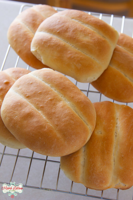 Easy Mexican Telera Bread Recipe • Mama Latina Tips