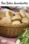 Mexican Pan Dulce Guide from A to Z • Mama Latina Tips