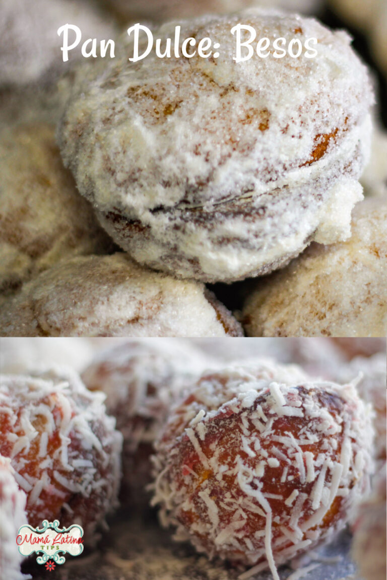 Guía de Pan Dulce Mexicano • Mama Latina Tips