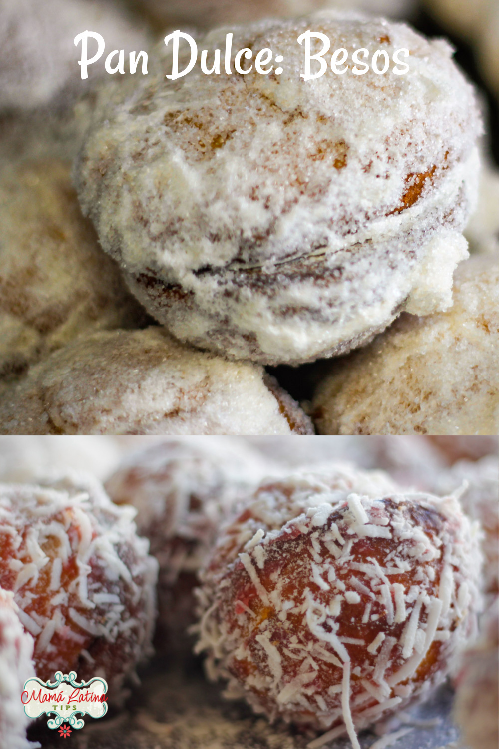 Mexican Pan Dulce Guide from A to Z • Mama Latina Tips