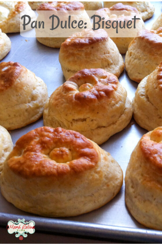 Guía de Pan Dulce Mexicano • Mama Latina Tips
