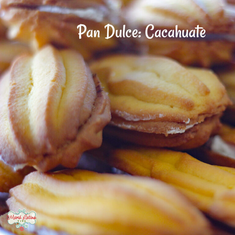 Mexican Pan Dulce Guide from A to Z • Mama Latina Tips