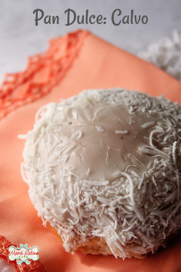 Mexican Pan Dulce Guide from A to Z • Mama Latina Tips