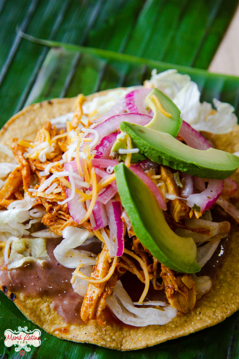 Chicken Pibil Tostadas • Mama Latina Tips