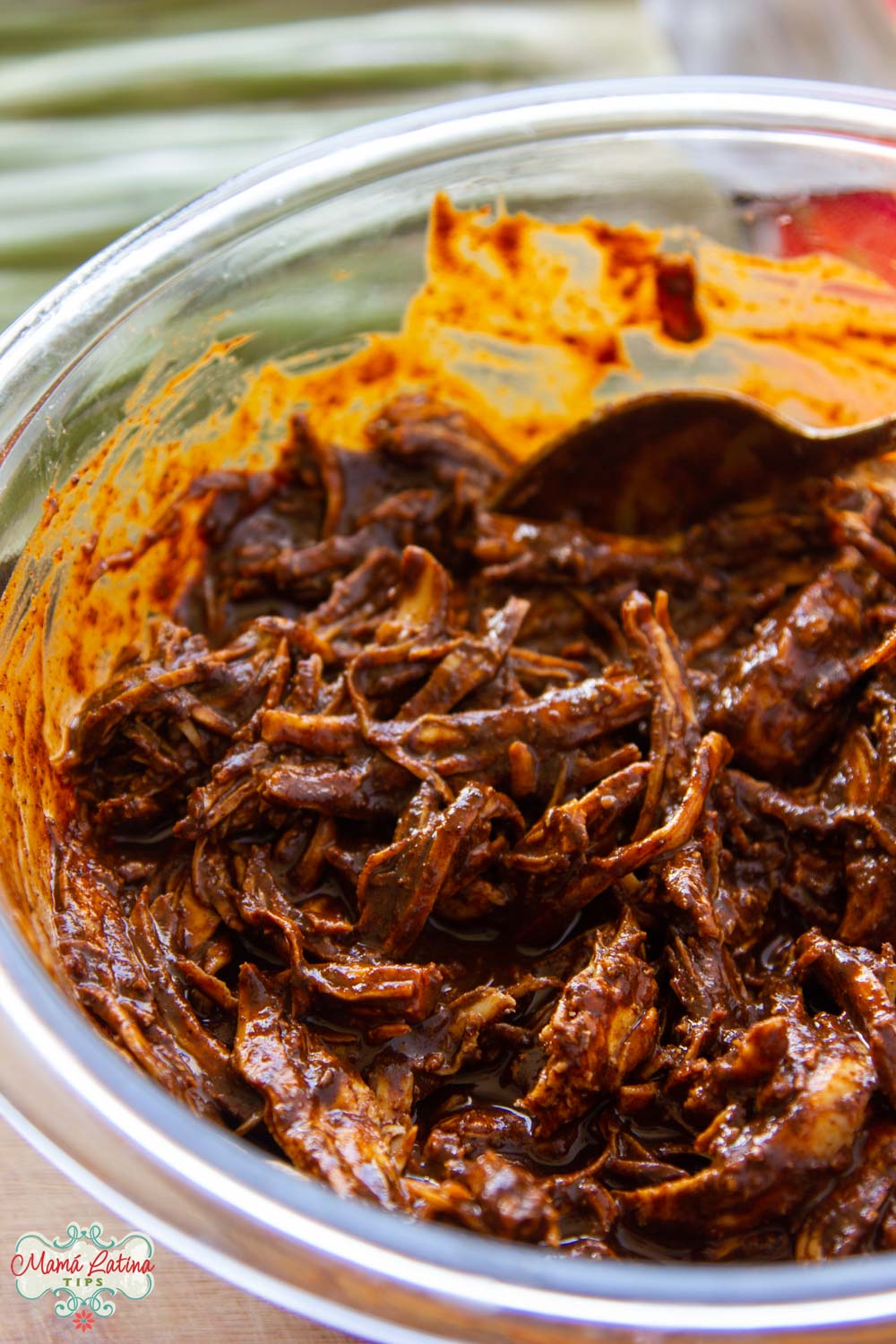 Tamales Oaxaqueños [Oaxacan-Style Tamales] Recipe • Mama Latina Tips