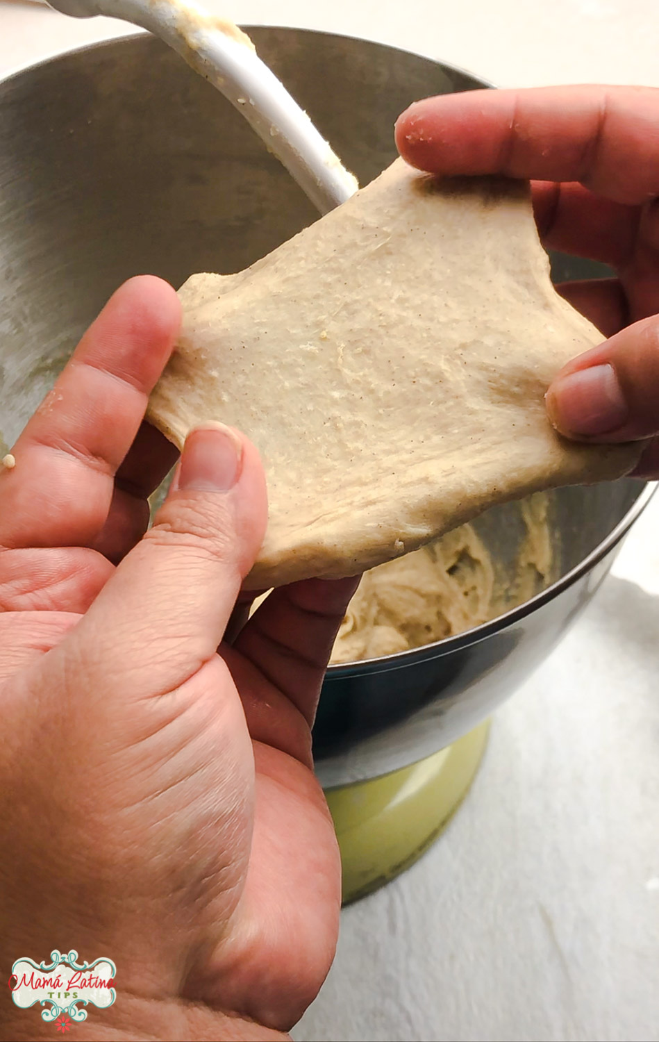 Santa Claus Concha Recipe • Mama Latina Tips