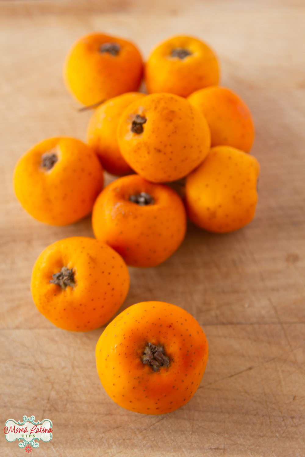 Mexican Ponche • Mama Latina Tips