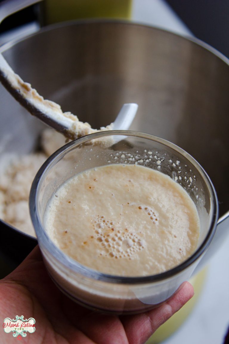 Santa Claus Concha Recipe • Mama Latina Tips