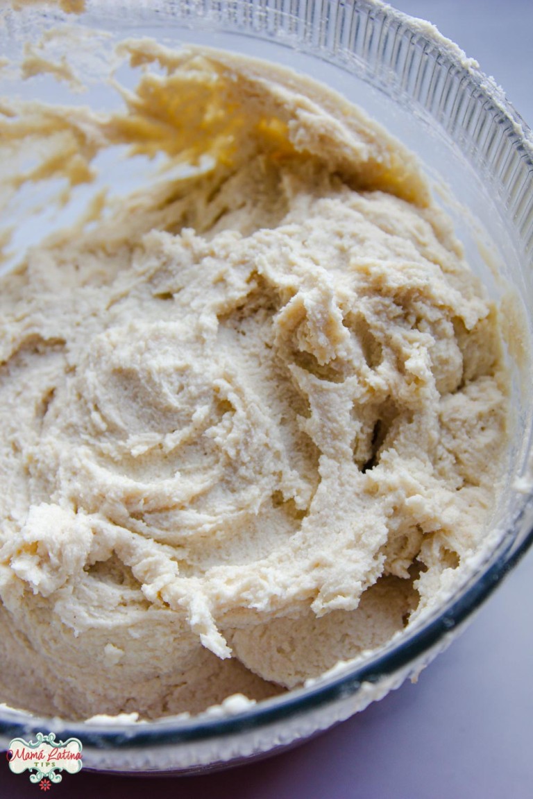 Homemade Masa for Tamales Recipe (A Complete Guide) • Mama Latina Tips