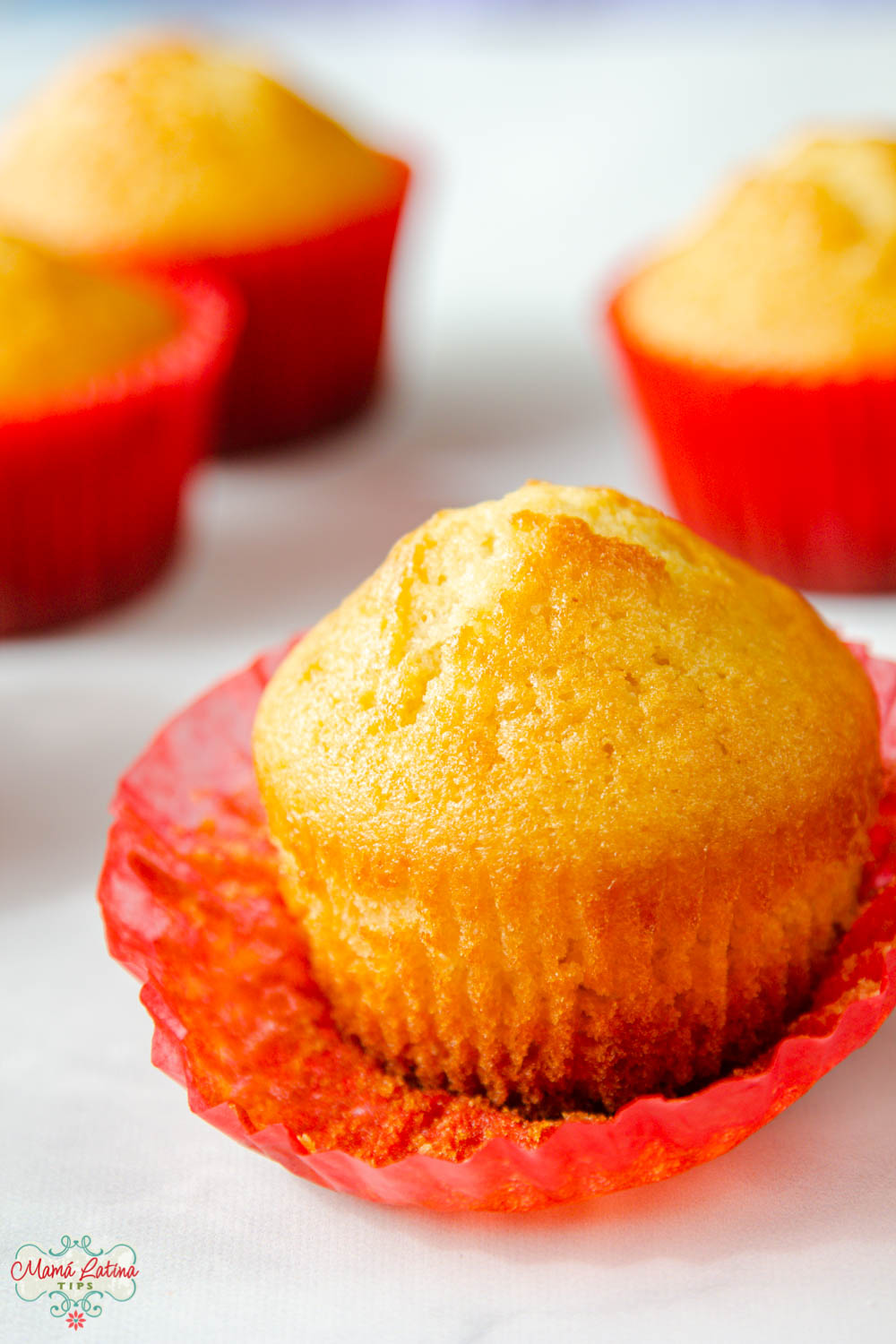 Receta de Mantecadas Mexicanas • Mama Latina Tips