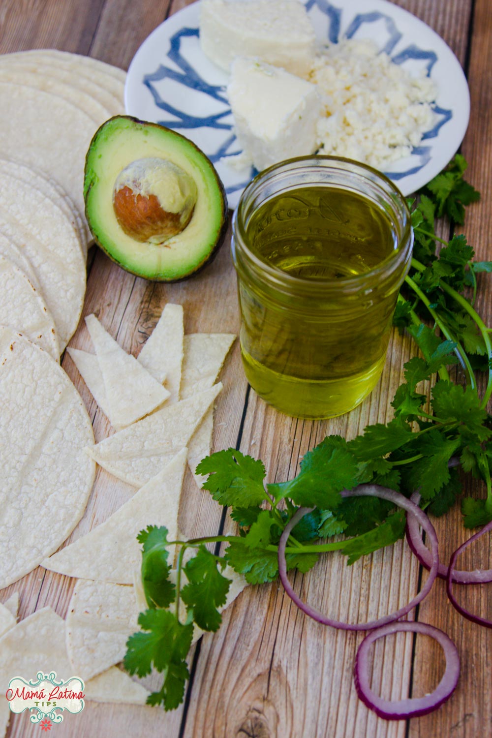 Red Chilaquiles Recipe • Mama Latina Tips