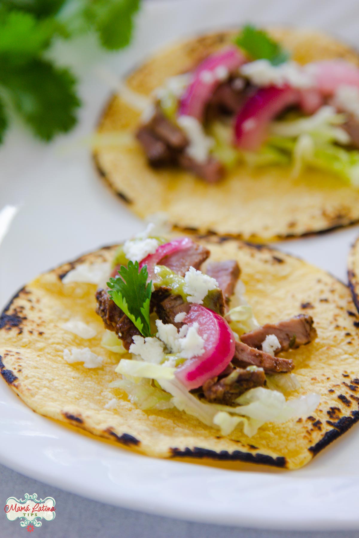 How to Make the Best Tri-Tip Tacos (Easy Recipe) • Mama Latina Tips