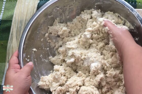 Homemade Masa for Tamales Recipe (A Complete Guide) • Mama Latina Tips